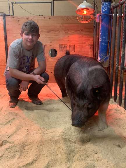 Johnathan Hutson Venus FFA - StockShowAuctions.com
