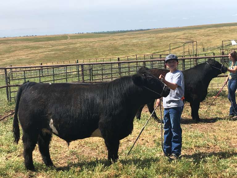 James Boysen Linden Peters 4H - StockShowAuctions.com