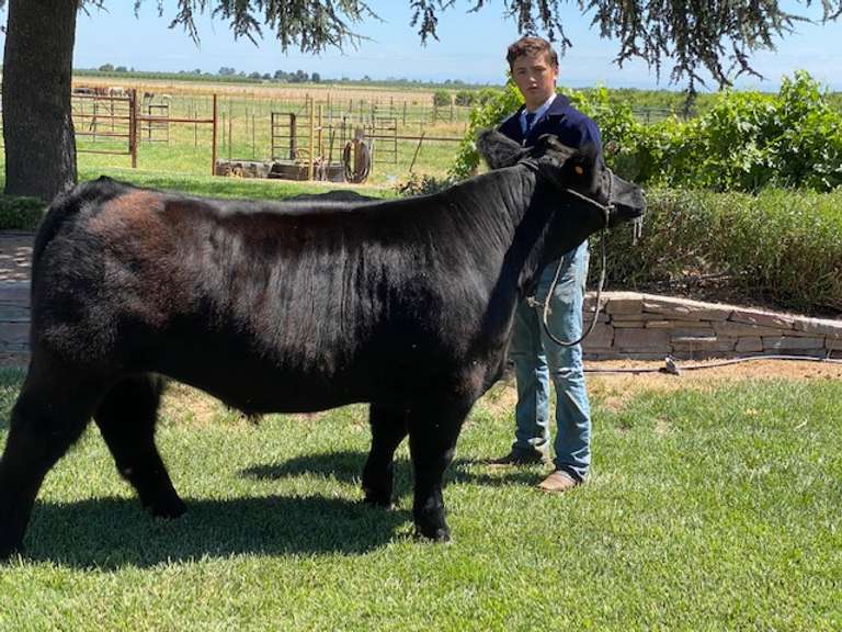 Ethan Slate Atwater FFA - StockShowAuctions.com