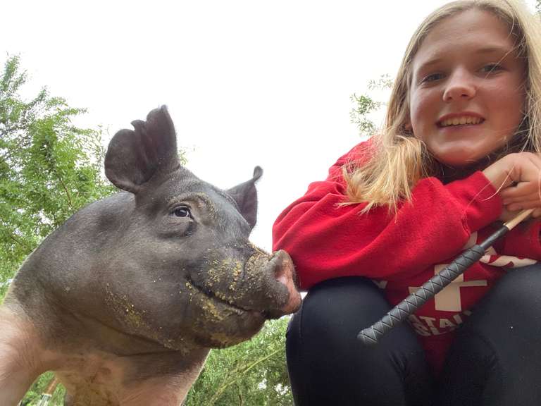 Shay Cunningham Ripon FFA - StockShowAuctions.com