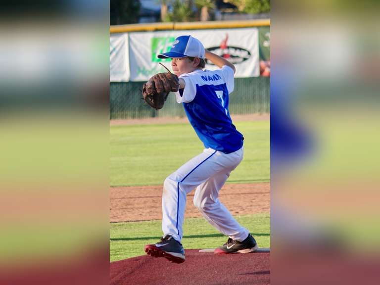 Caleb Mann Alpine Victor 4-H - StockShowAuctions.com