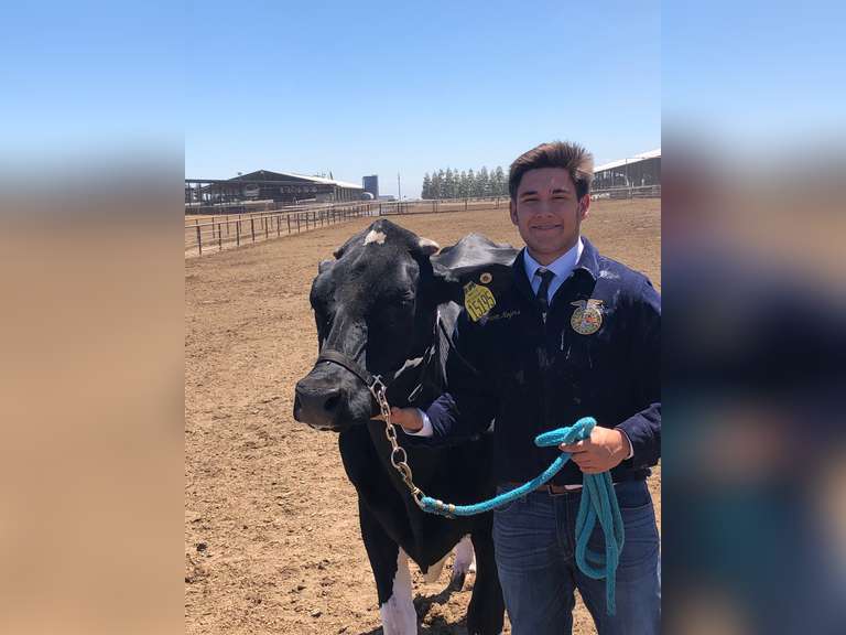 Jaden Rogers Stone Ridge Christian FFA - StockShowAuctions.com