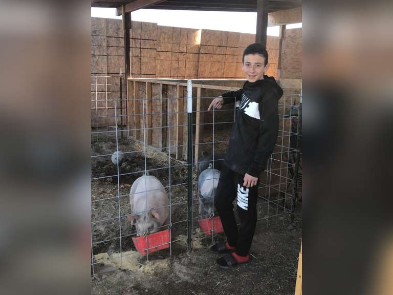 Benjamin Melendez Jefferson 4H - StockShowAuctions.com