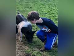 Caleb Mann Alpine Victor 4-H - StockShowAuctions.com