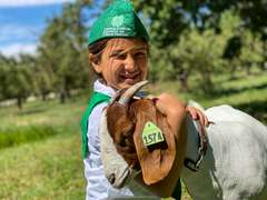Molly Akers Merced River 4-H - StockShowAuctions.com