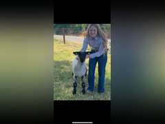 Hayden Souza Stone Ridge Christian FFA - StockShowAuctions.com