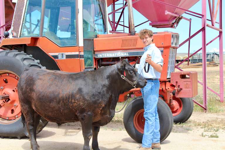 Joshua Yoder Edison Drylanders 4-H - StockShowAuctions.com
