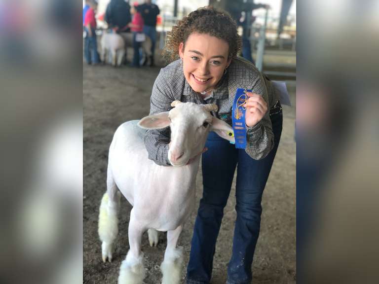 Riley Rowland McAllen FFA - StockShowAuctions.com
