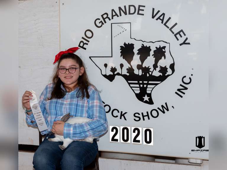 Isabella Garza 4 Winds 4-H - StockShowAuctions.com