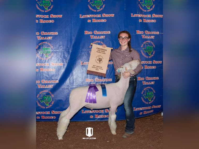 Riley Rowland McAllen FFA - StockShowAuctions.com