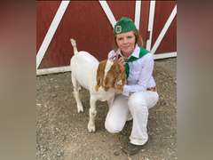 Rylee Roberts Ausayamus 4H - StockShowAuctions.com