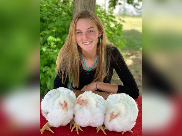 Aubrey Winstead Rocky Mountain 4H Club - StockShowAuctions.com