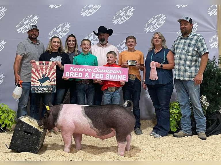 Ryker Smith Lucky Clover 4-H - StockShowAuctions.com