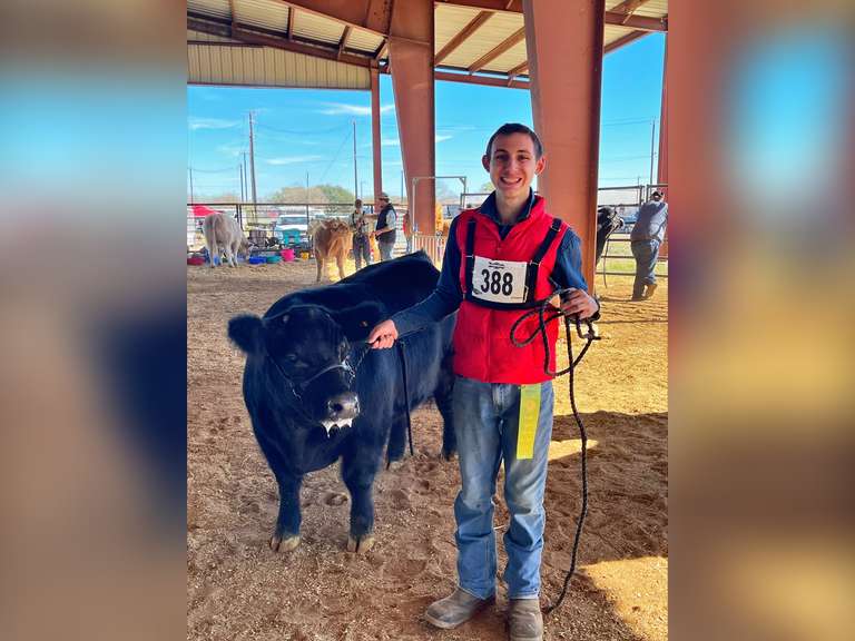 Kyle Forsyth James Madison FFA - StockShowAuctions.com