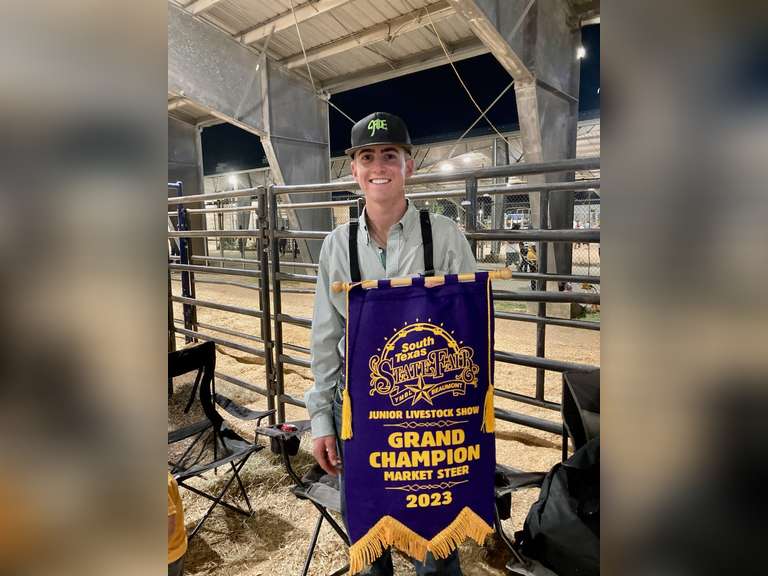 Dustin Poole BARBERS HILL 4 H - StockShowAuctions.com