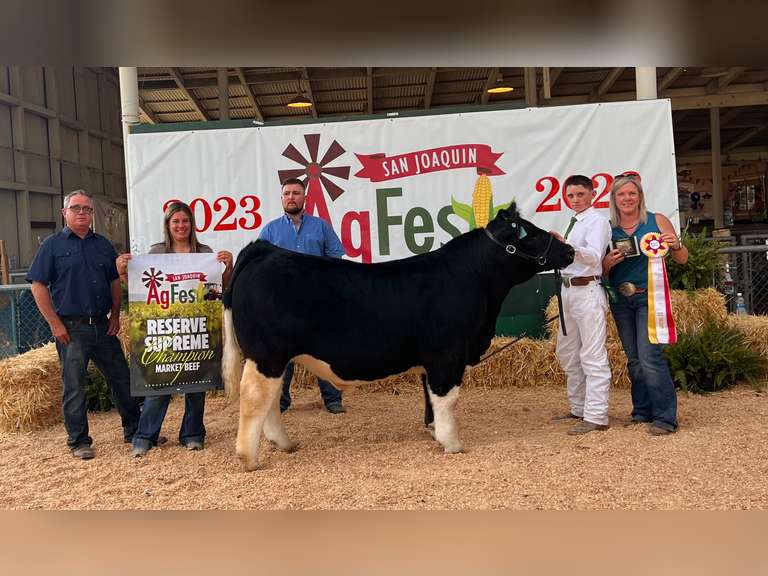 Christopher Baier New Jerusalem 4-H - StockShowAuctions.com