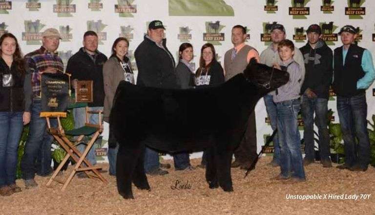70Y X GETCHA SOME EMBRYOS - SteerBidder