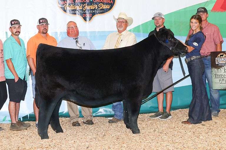 TAG 7 - MAINE ANGUS HEIFER - SteerBidder