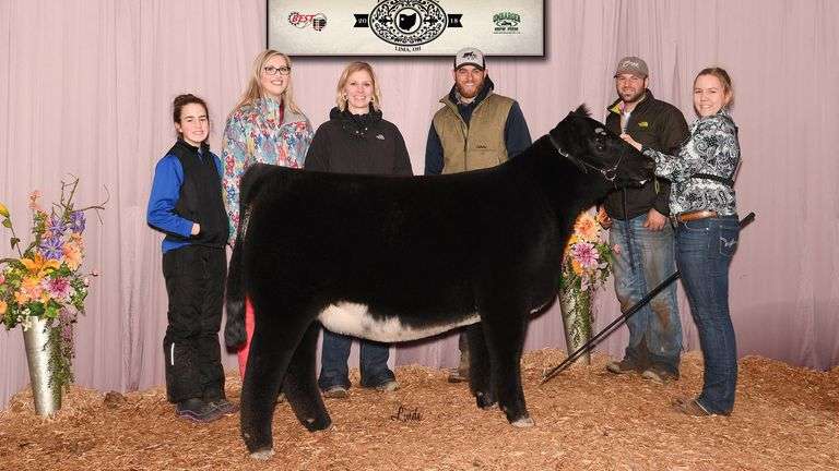 LOUD N HEAVY X MERCEDES EMBRYOS - SteerBidder