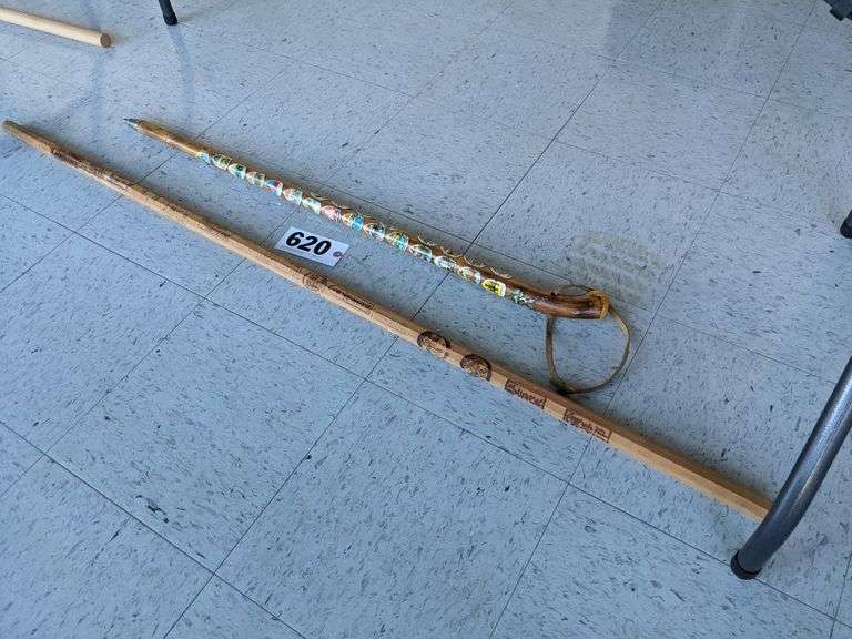 Lot of 2 European/Asian Travel Adorned Walking Sticks - South Auction