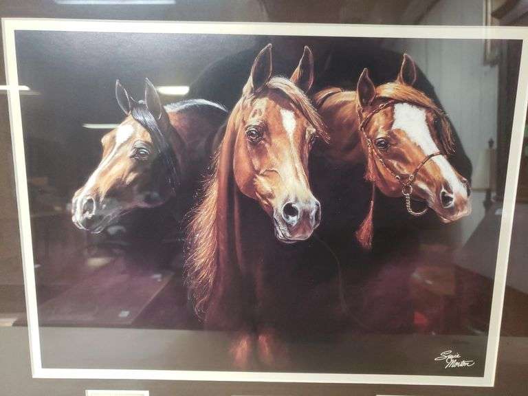 "Entering The Light" By Susie Morton Horse Picture And Stamps - Trice ...