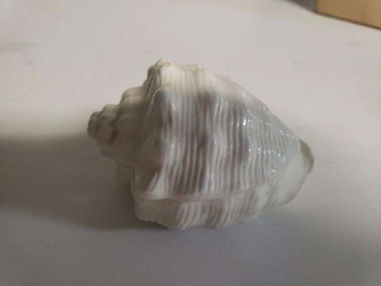 Small Conch Shell Shaped Trinket Box - Trice Auctions