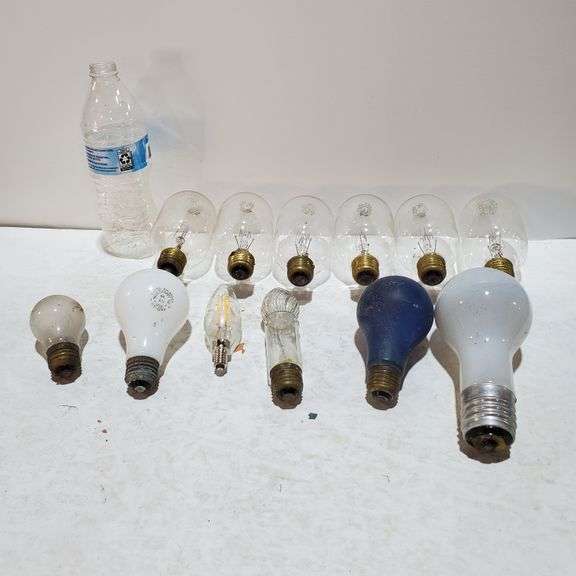 Six Antique Clear Glass Balloon Light Bulbs, 1 Filament Bulb, 1 Candle ...