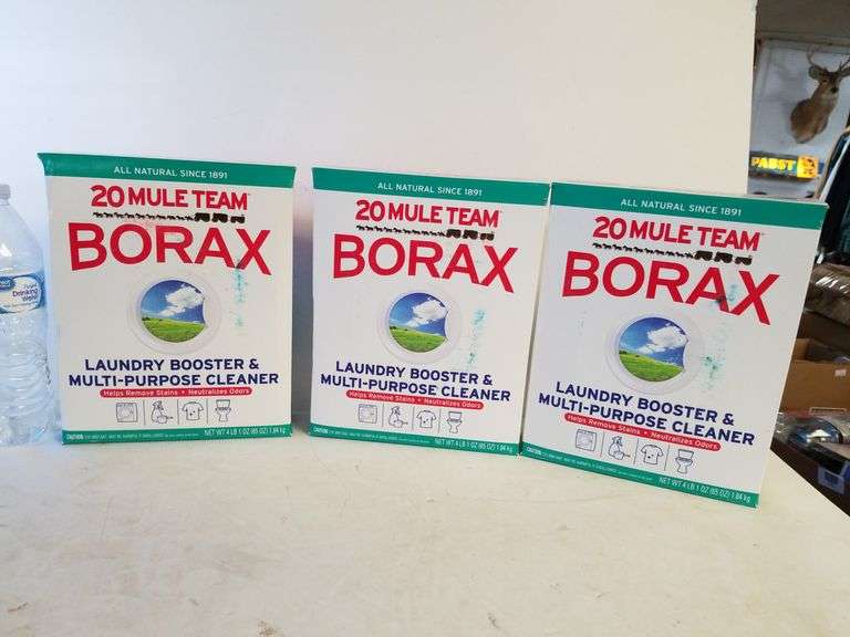 Lot Of Borax Laundry Booster & Multipurpose Cleaner 4 Lb 1 Oz Each (6 ...