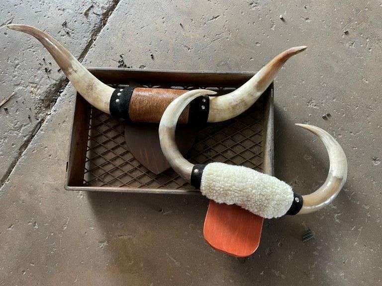 Wall Hanging Horns - TVAA Pty Ltd T/A Tomkins Valuers & Auctioneers