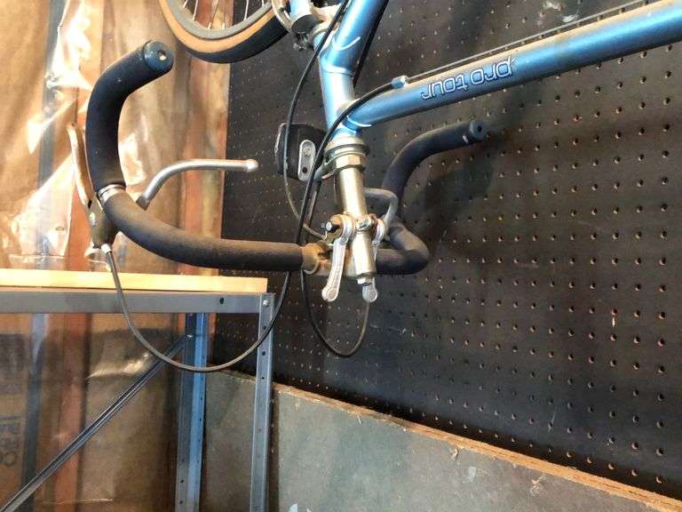 Roadmaster Pro Tour 10 Speed Bicycle - United Edge Real Estate & Auction