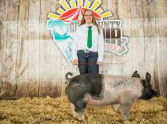 Allie Roberts - VIRTUAL STOCK SHOW