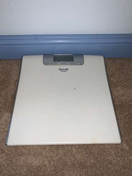 Taylor Lithium Bath Scale - Wolfe Auction & Realty, LLC