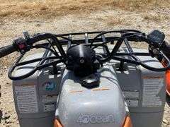 1993 YAMAHA TIMBERWOLF YFB250 ATV - Wild Rose Auction Services