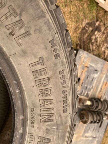 4 - MOTOMASTER TOTAL TERRAIN TIRES, NO RIMS, 255/65R16 - Wild Rose ...