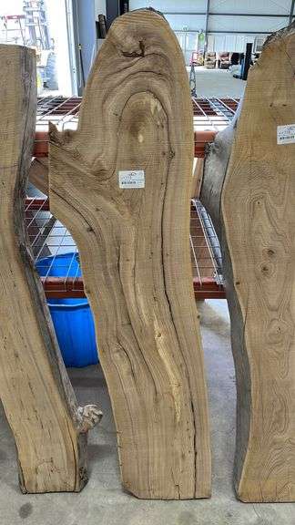 14" x 66" x 2" Elm Live Edge - Yorkton Auction Centre