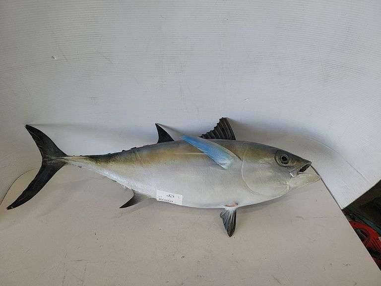 Fake Tuna Fish - Yorkton Auction Centre