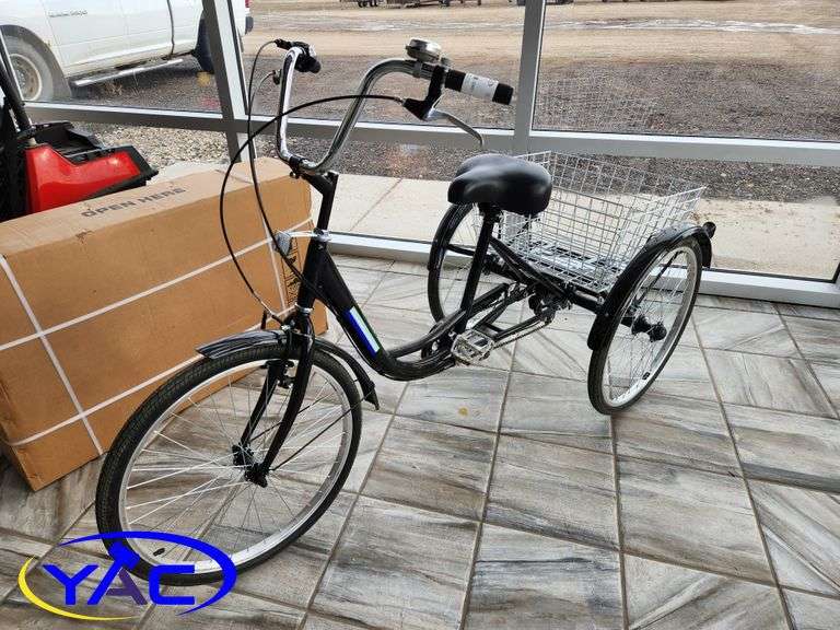 3 Wheel Bike in box unassembled - Yorkton Auction Centre