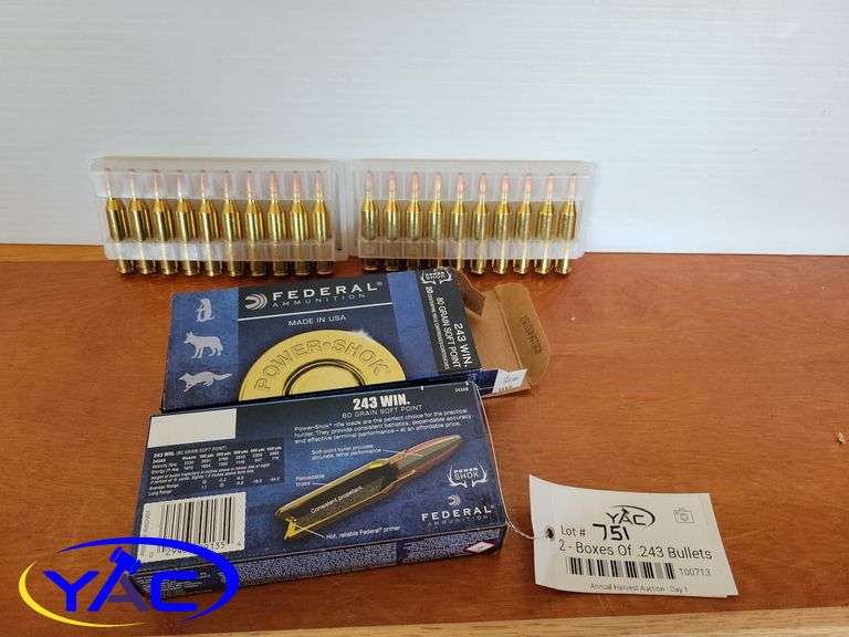 2 - Boxes Of .243 Bullets - Yorkton Auction Centre