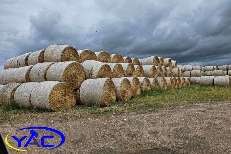34 Bales of Canola Straw - Yorkton Auction Centre
