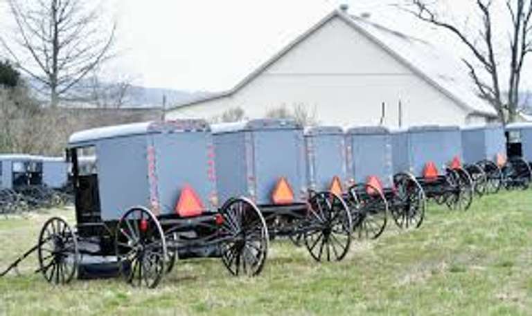 Long Prairie Area Amish Community Benefit Auction - Ziemer Hilbrands ...