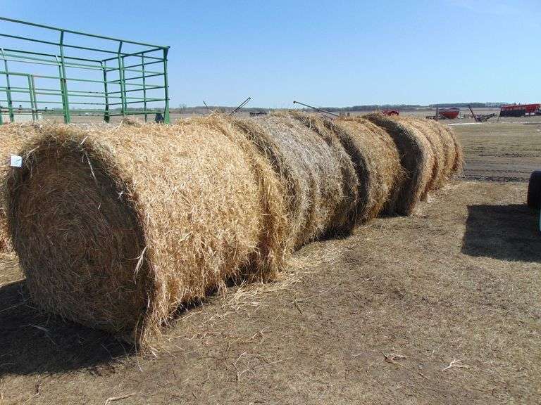 SIX - 5X5 MEADOW GRASS HAY - Ziemer Hilbrands Auctions